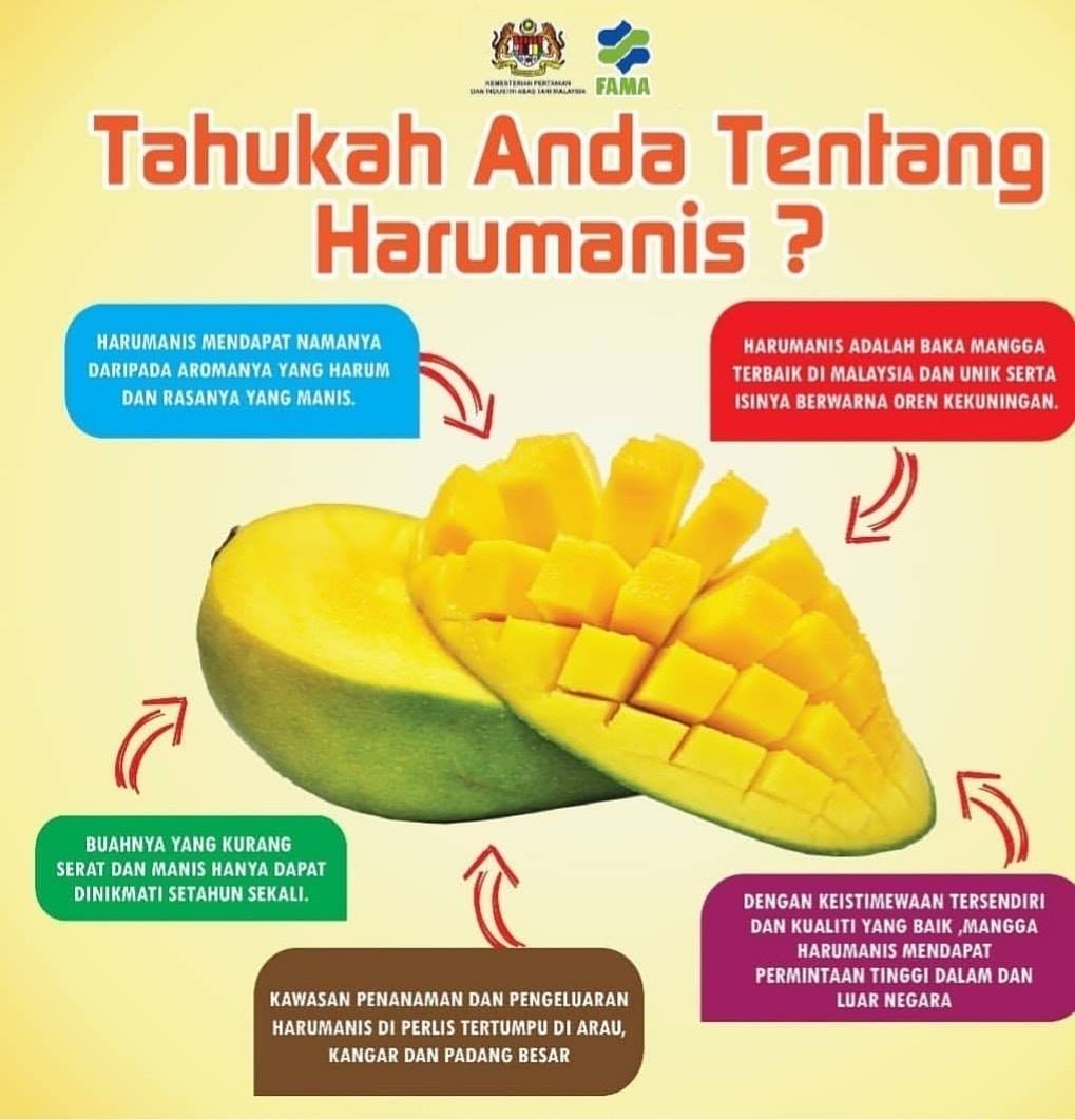 Kenapa Harum Manis Hanya di Perlis ?? | KEDAI MESIN PROSES MAKANAN ...